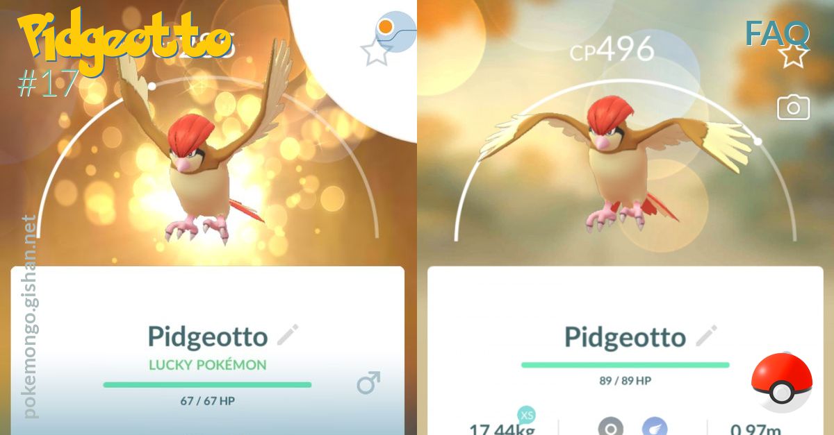 Pidgeotto FAQ - Pokemon Go