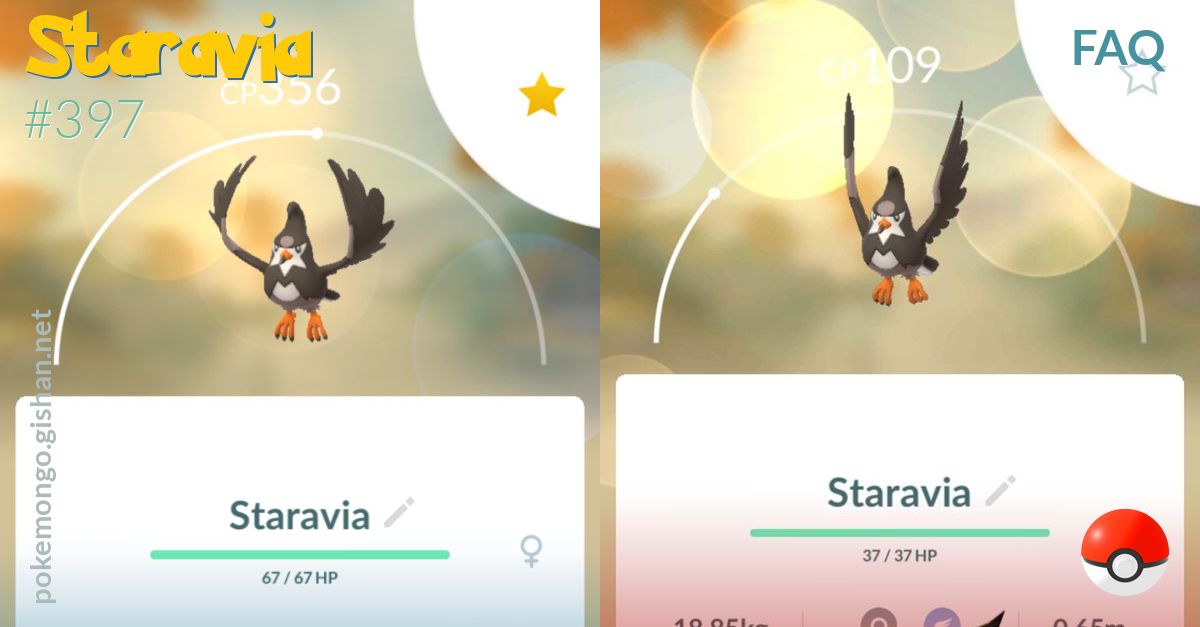 Staravia FAQ - Pokemon Go