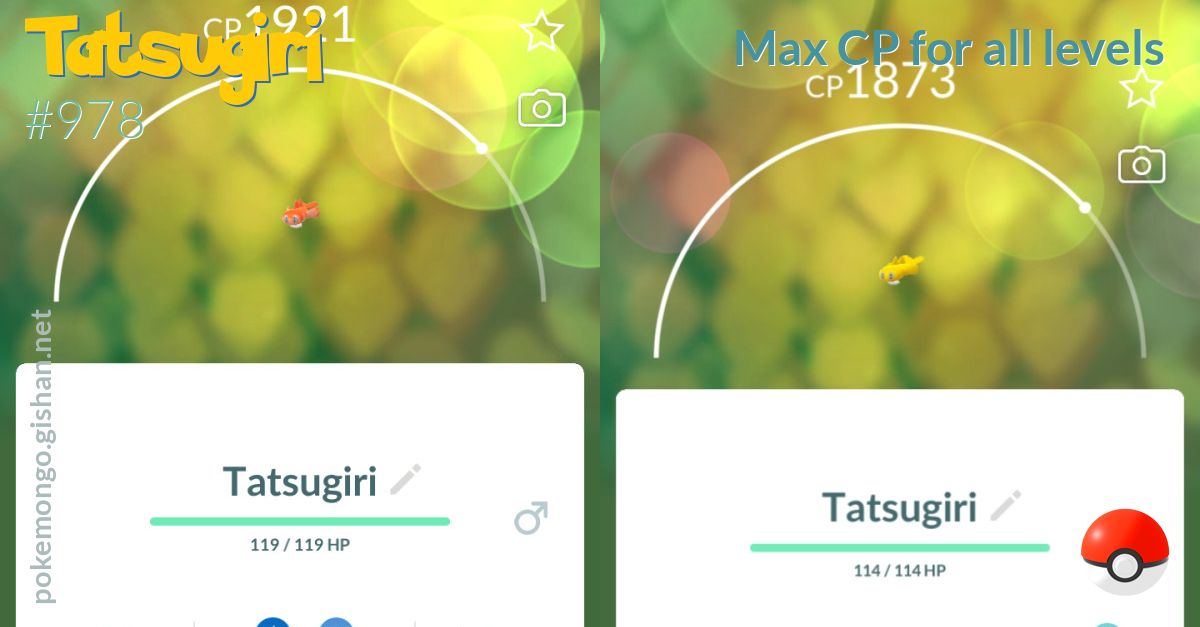 Tatsugiri max CP for all levels - Pokemon Go
