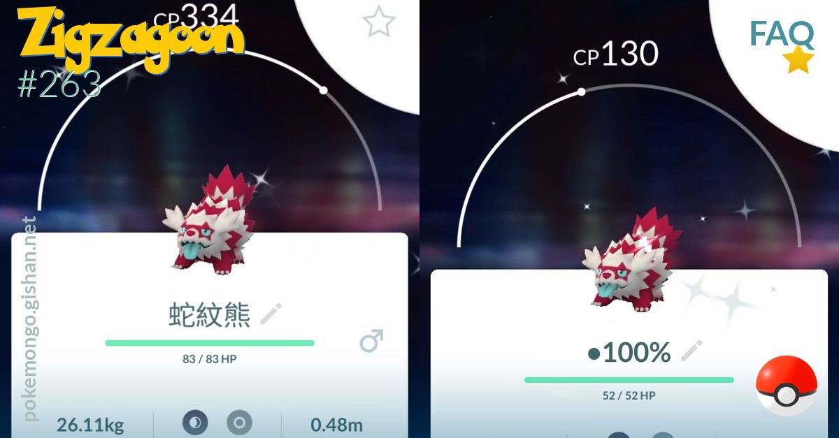 Galarian Zigzagoon FAQ - Pokemon Go